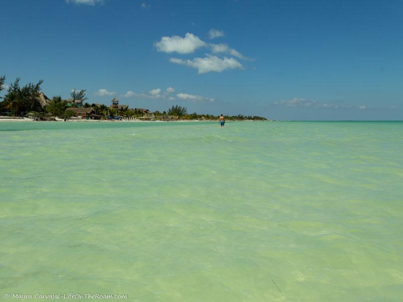 7 Reasons Why You Need to Go to the Island of Holbox, Mexico