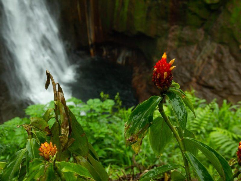 Your Guide to Sarchí: The Wonderful Artsy Destination in Costa Rica