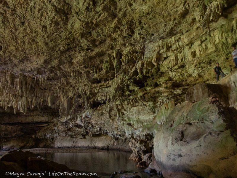 The Best National Parks, Nature Reserves and Caves in Belize