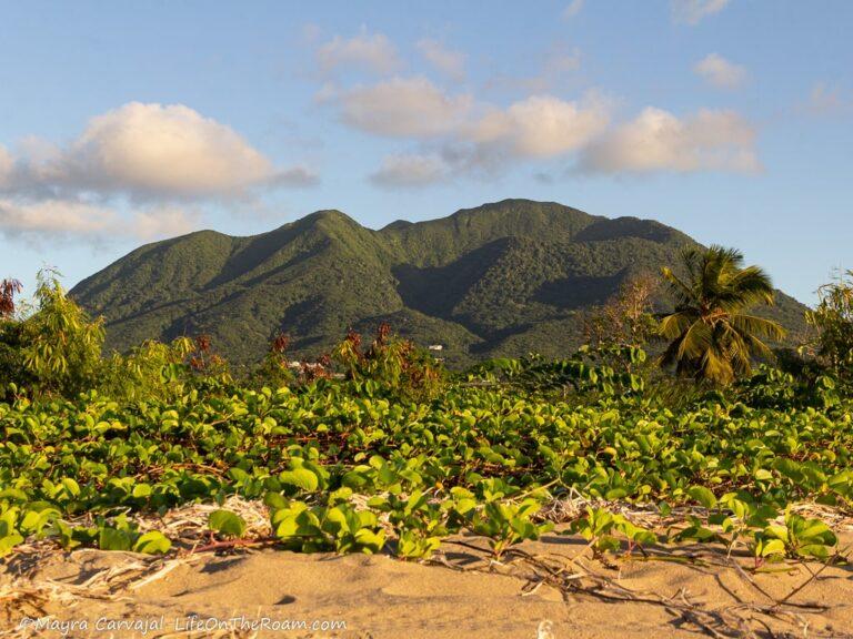 The 6 Best Beaches in Nevis: the Laid-Back Caribbean Island